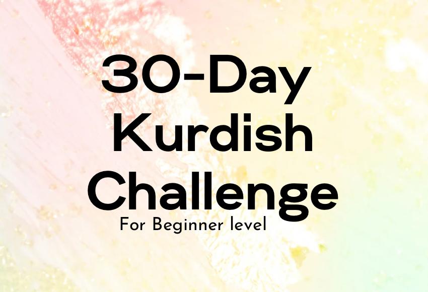 Kurdish Reading Texts for Beginner Learners - Kurdish Kurmanji Lessons