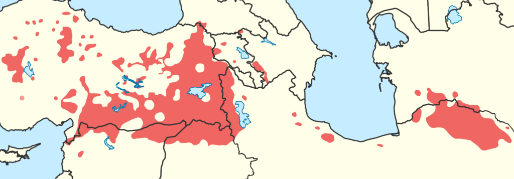 Kurdish Language: Its Origins, Geographical Reach, and Sociolinguistic ...